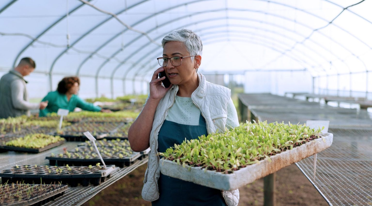 Mobile Solutions | Daisy Comms